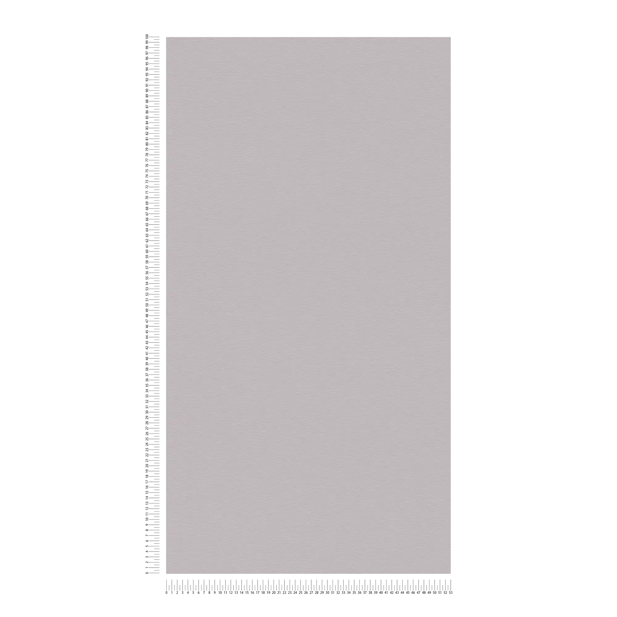 Single-coloured non-woven wallpaper - slightly mottled surface texture