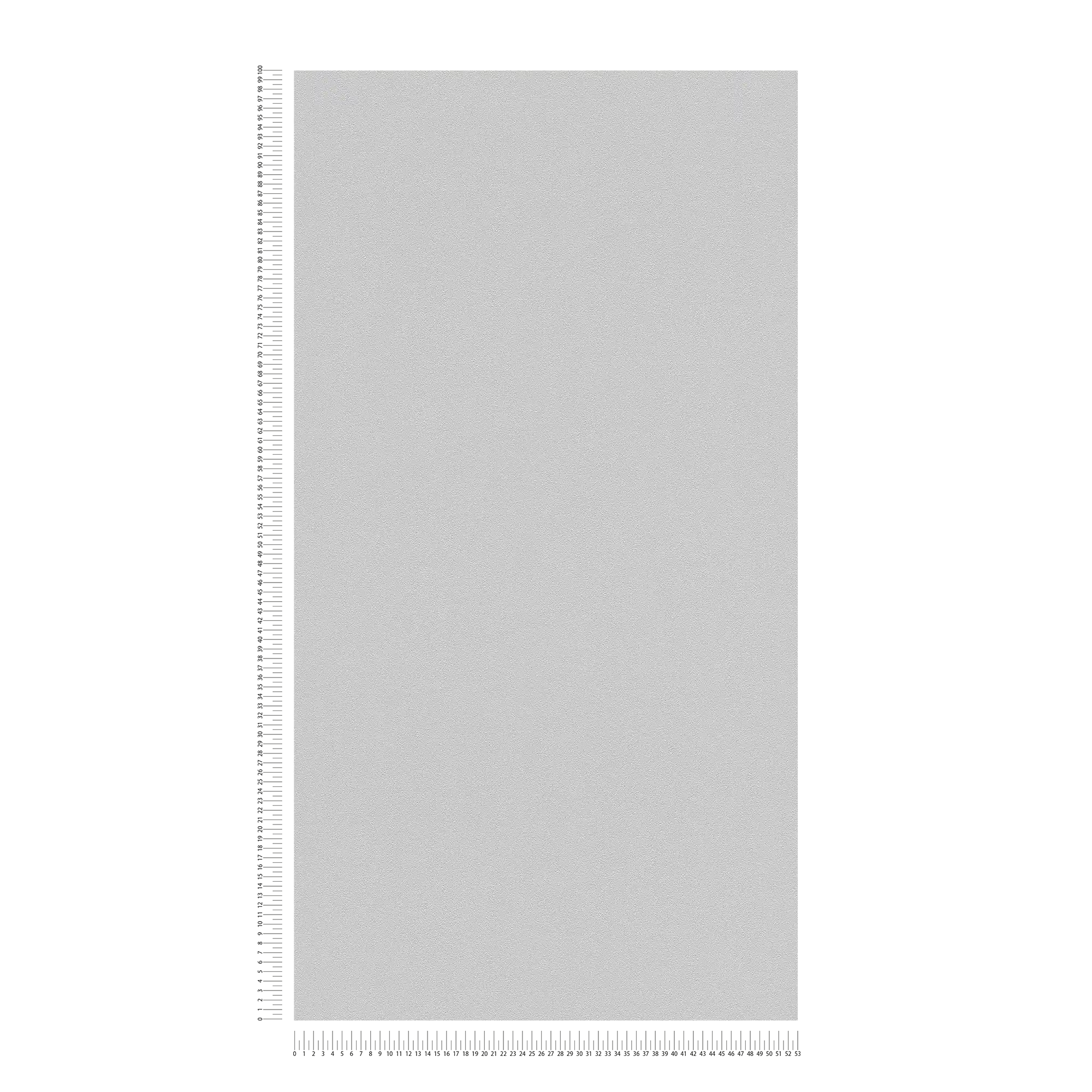 Karl LAGERFELD wallpaper light grey monochrome with texture
