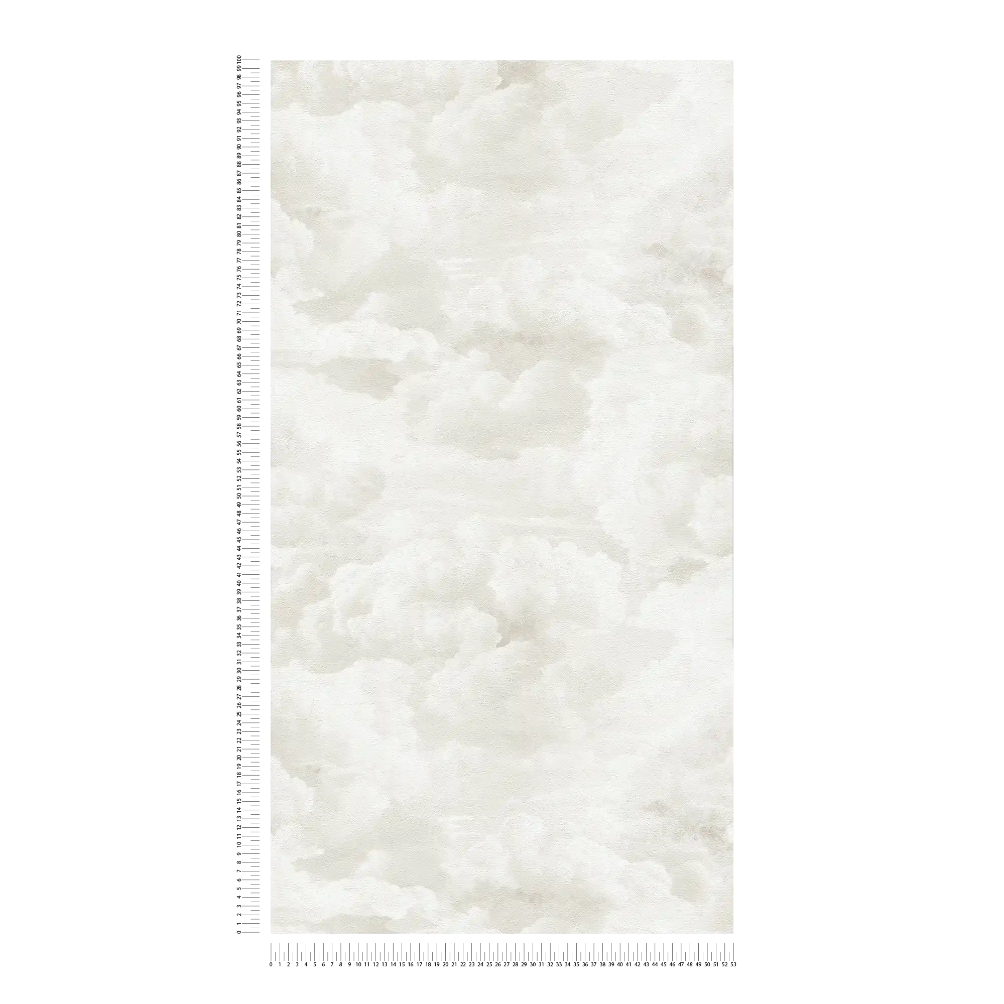 Abstract cloud pattern - oil painting look non-woven wallpaper